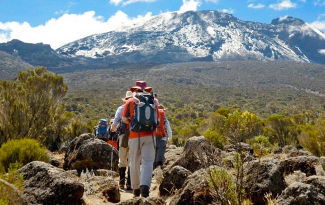 Kilimanjaro Climbing Rongai Route – Ama Kilimanjaro Company